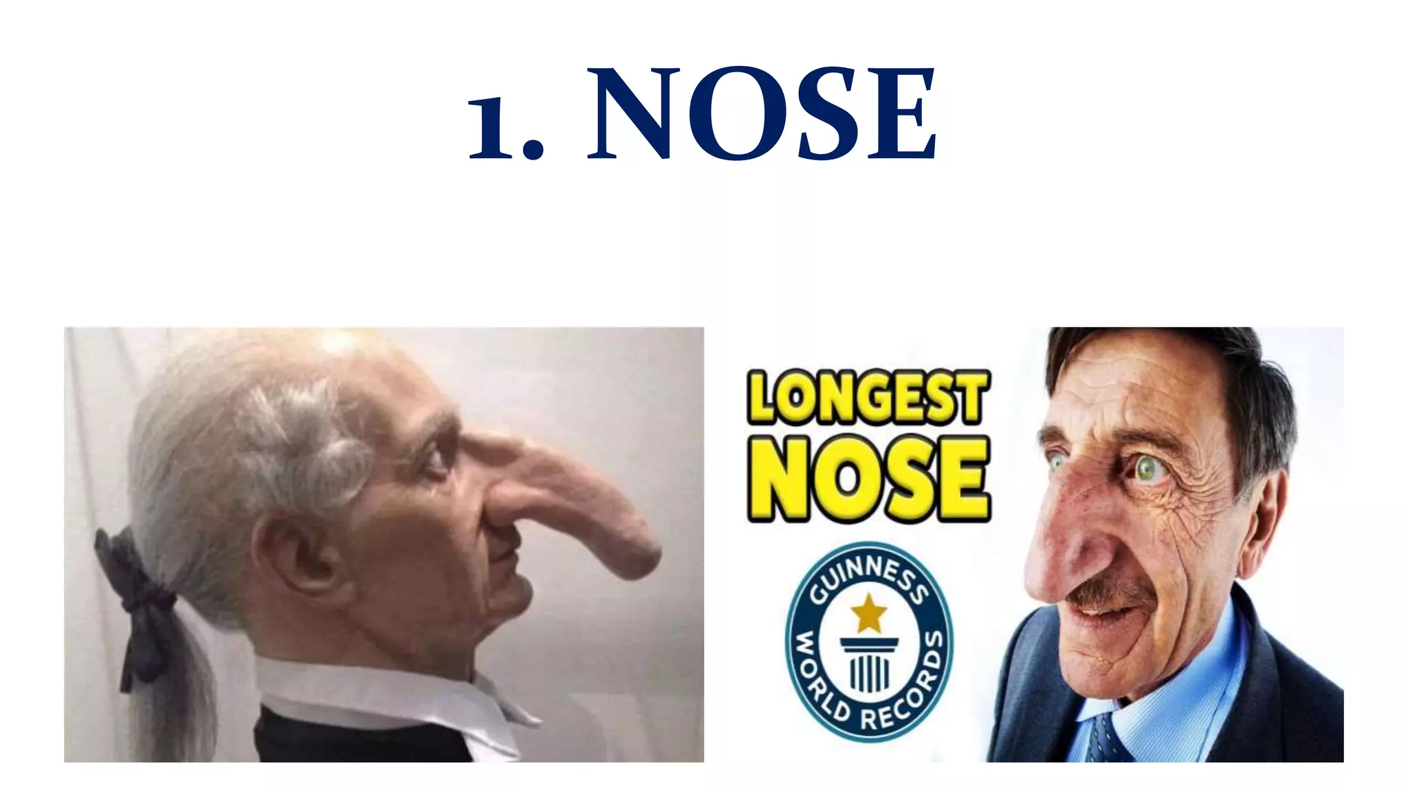 9. Anatomy of the Nose and Paranasal sinuses, Dr. Maxprince.pptx