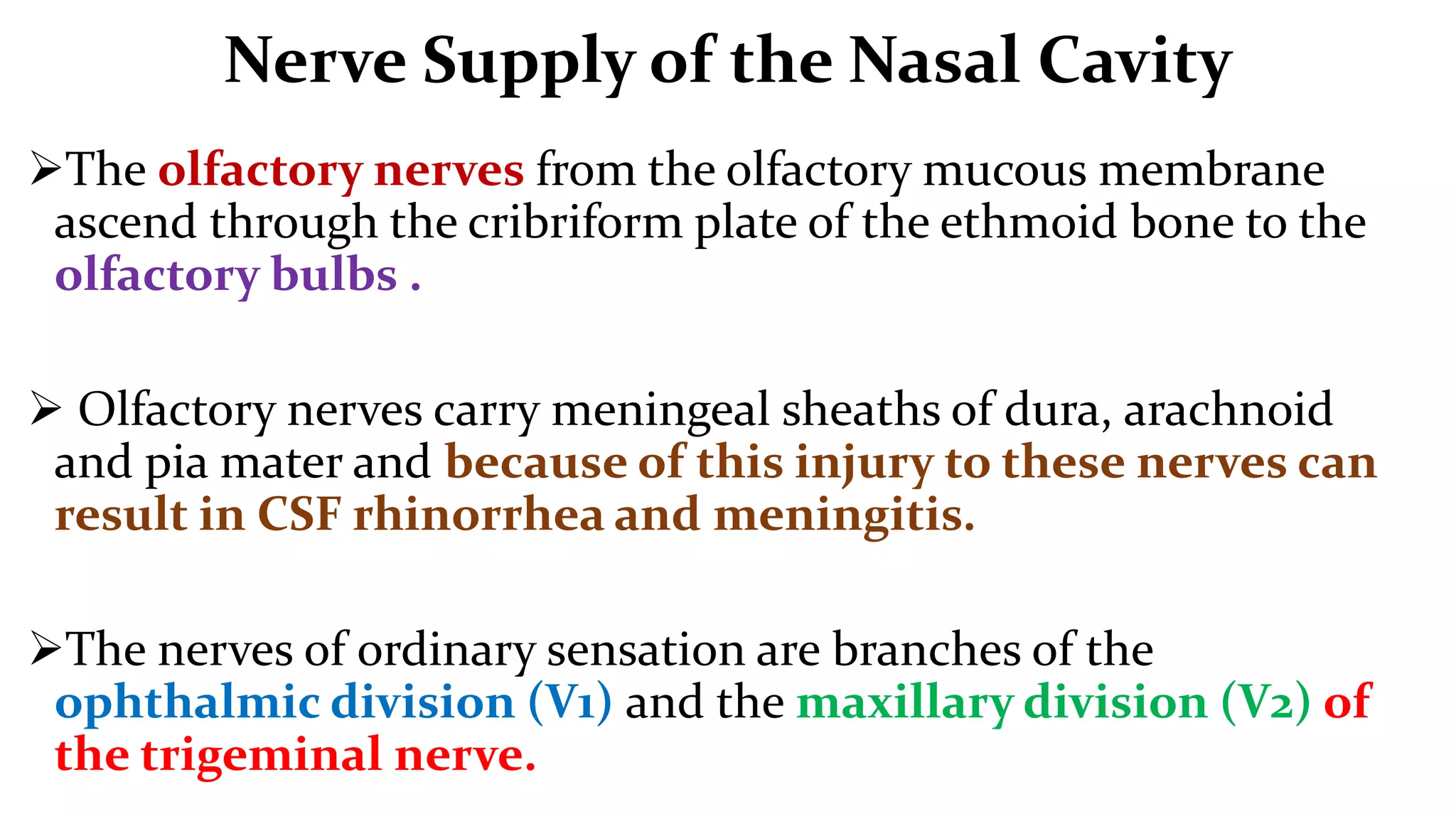 9. Anatomy of the Nose and Paranasal sinuses, Dr. Maxprince.pptx