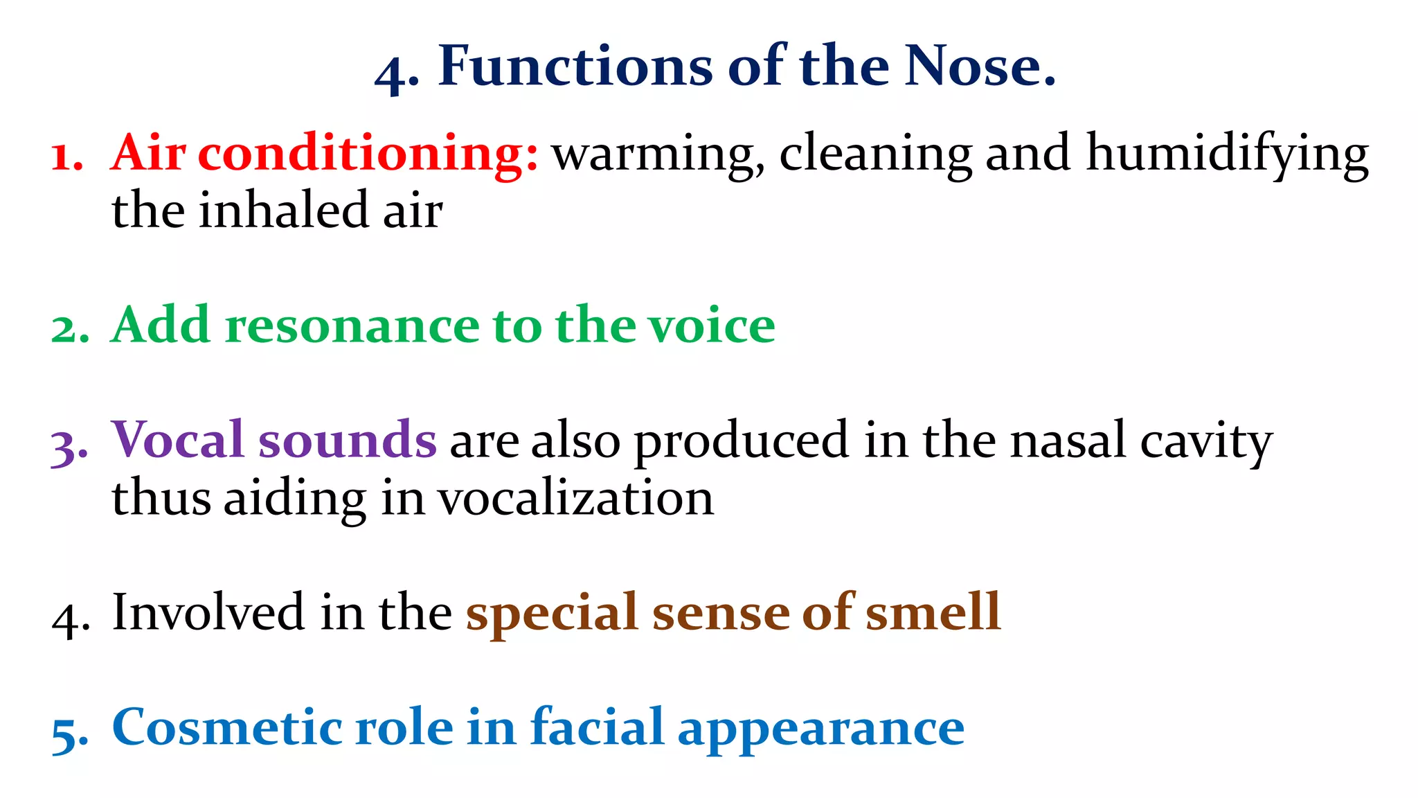 9. Anatomy of the Nose and Paranasal sinuses, Dr. Maxprince.pptx
