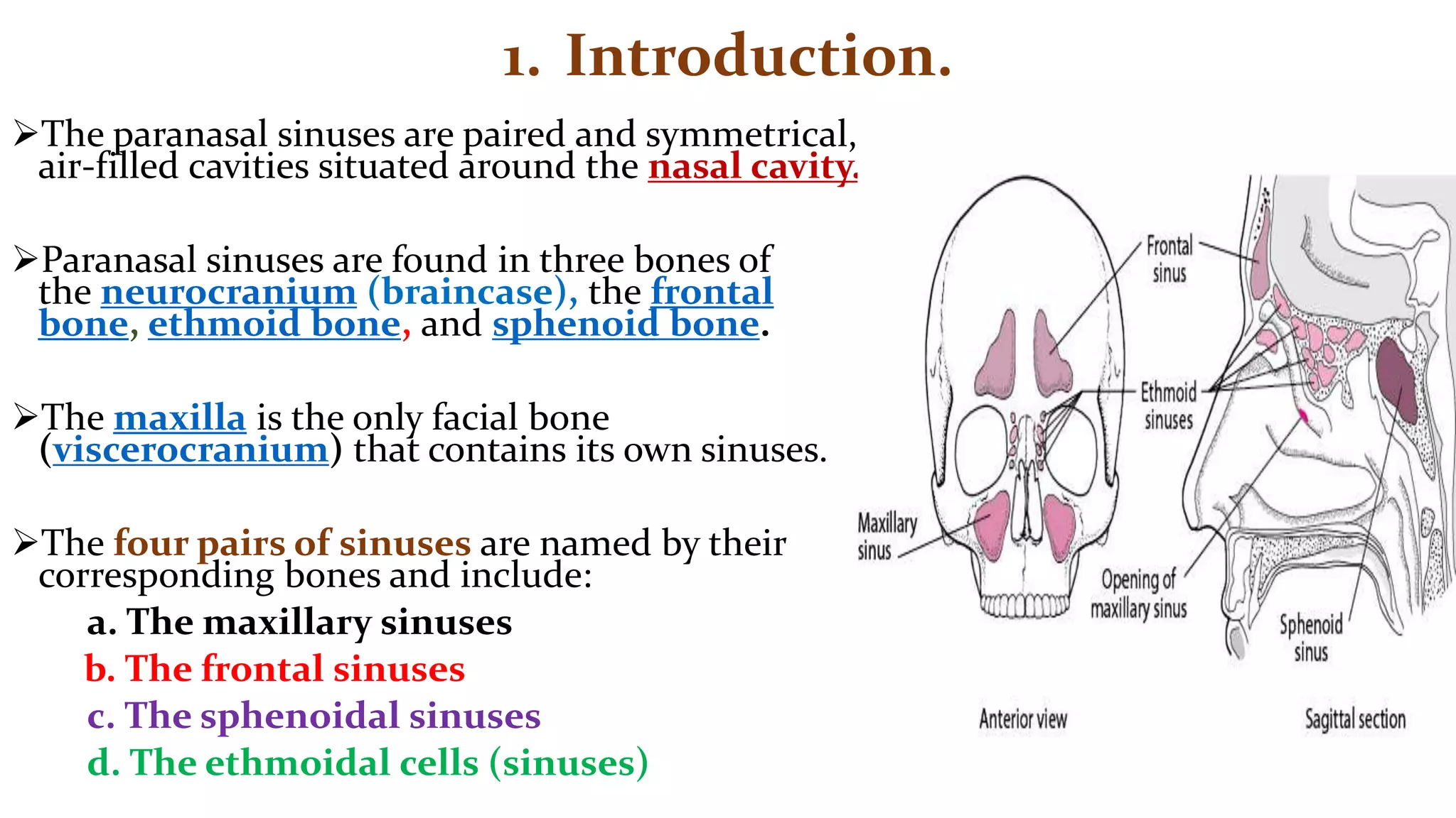 9. Anatomy of the Nose and Paranasal sinuses, Dr. Maxprince.pptx