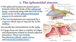 9. Anatomy of the Nose and Paranasal sinuses, Dr. Maxprince.pptx