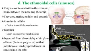 9. Anatomy of the Nose and Paranasal sinuses, Dr. Maxprince.pptx