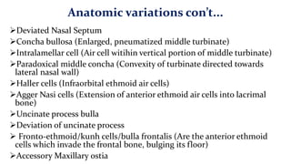 9. Anatomy of the Nose and Paranasal sinuses, Dr. Maxprince.pptx