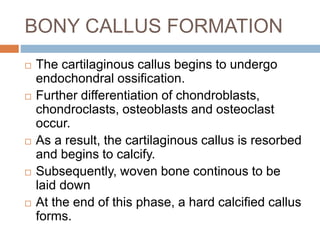 9. WOUND HEALING POWER POINT.pptx