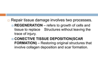 9. WOUND HEALING POWER POINT.pptx