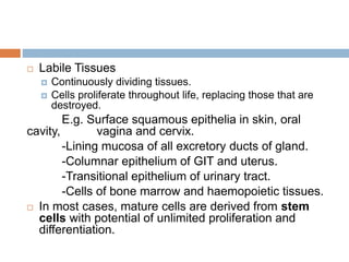 9. WOUND HEALING POWER POINT.pptx