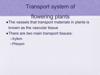 9. Transport in Plants.pptx