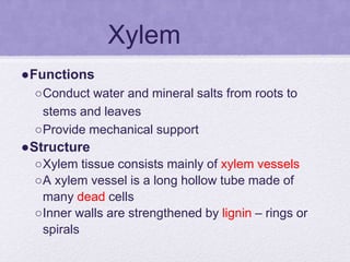 9. Transport in Plants.pptx