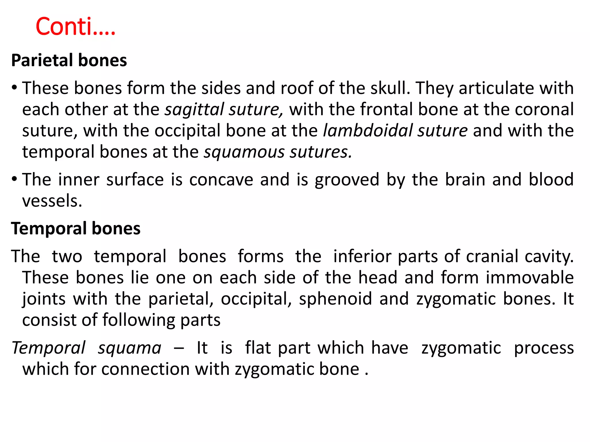 SKELETAL system- axial.ppt