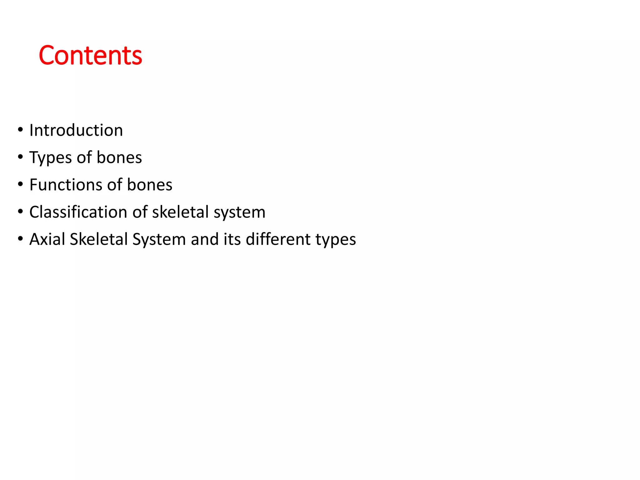 SKELETAL system- axial.ppt
