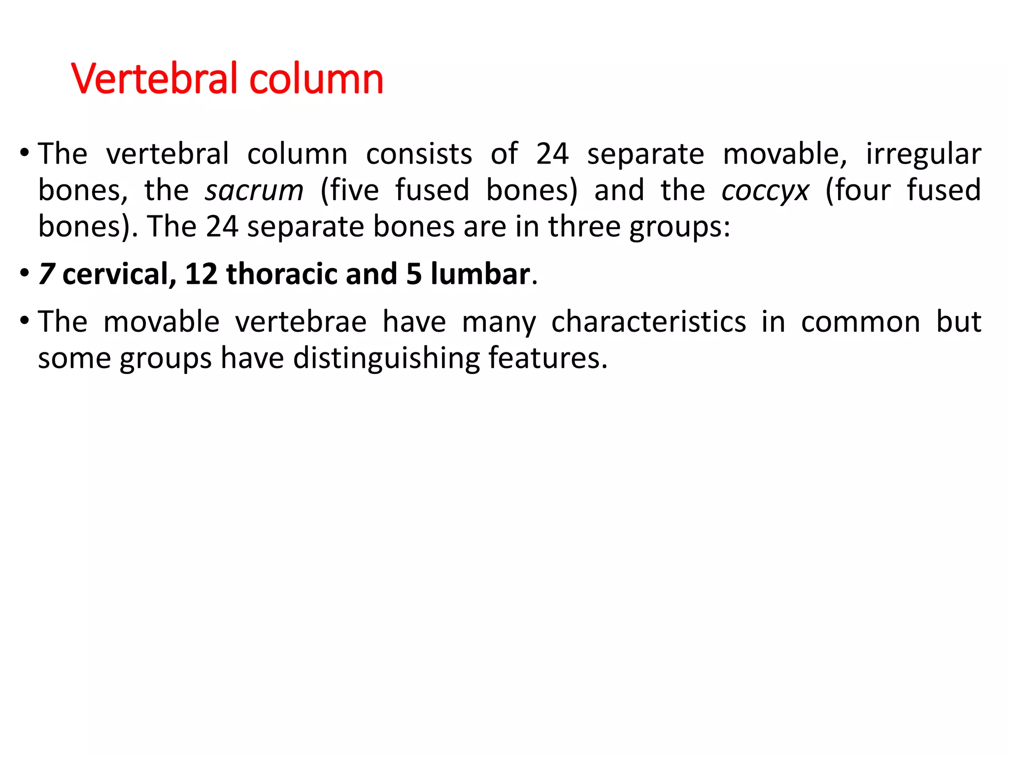 SKELETAL system- axial.ppt