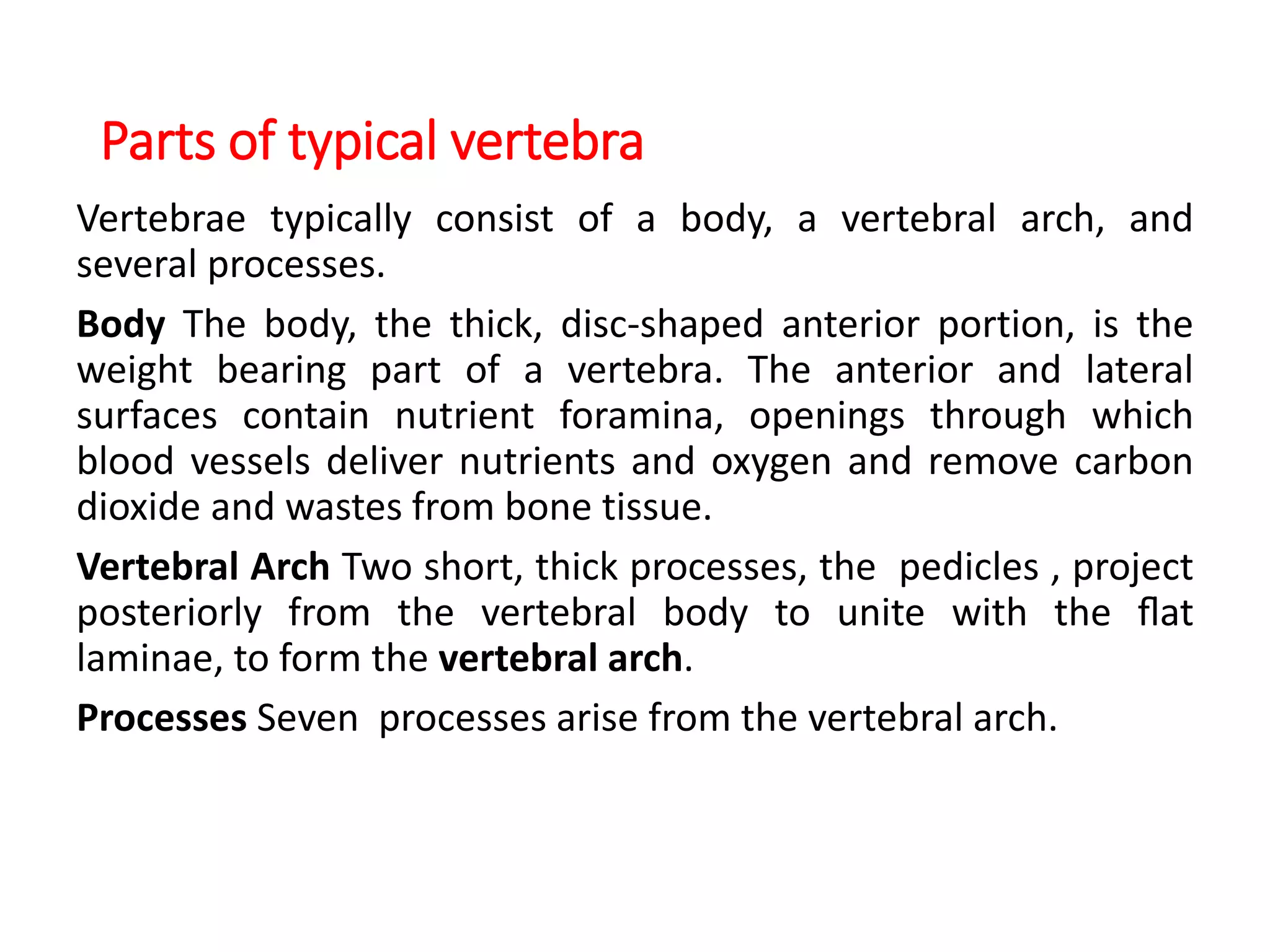 SKELETAL system- axial.ppt