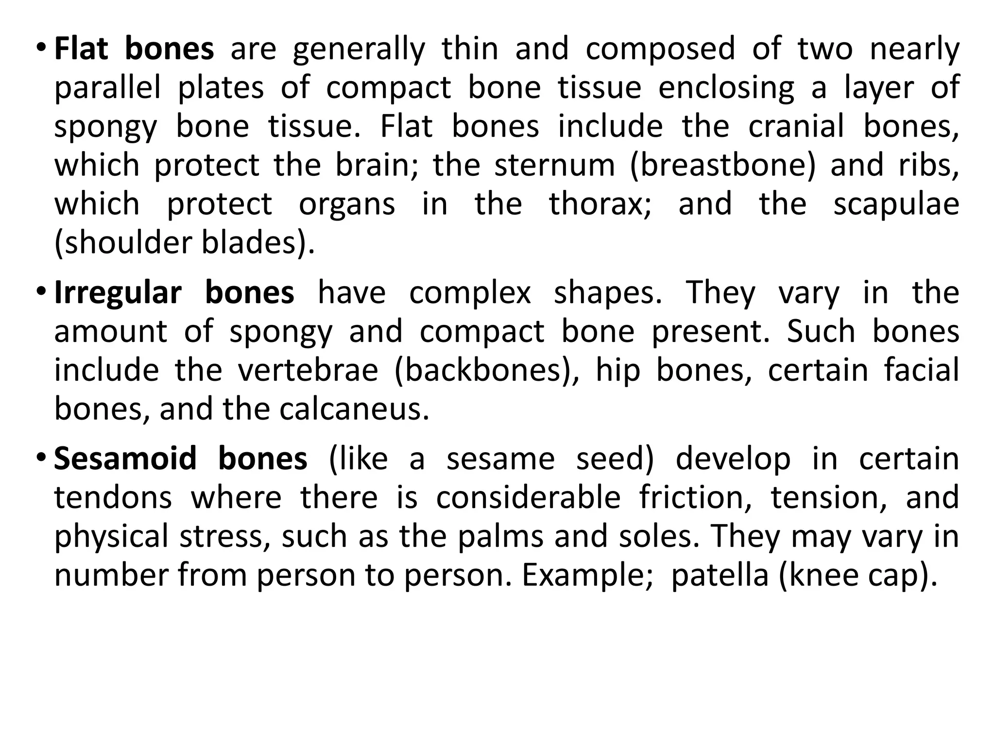 SKELETAL system- axial.ppt