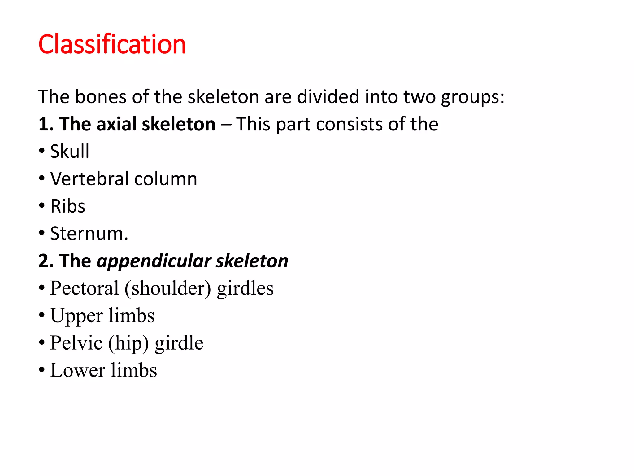 SKELETAL system- axial.ppt