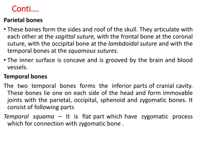 SKELETAL system- axial.ppt