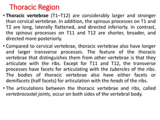 SKELETAL system- axial.ppt