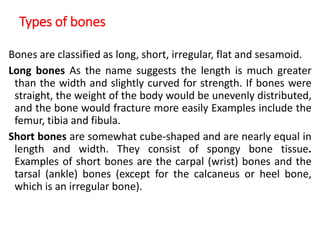 SKELETAL system- axial.ppt