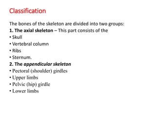 SKELETAL system- axial.ppt
