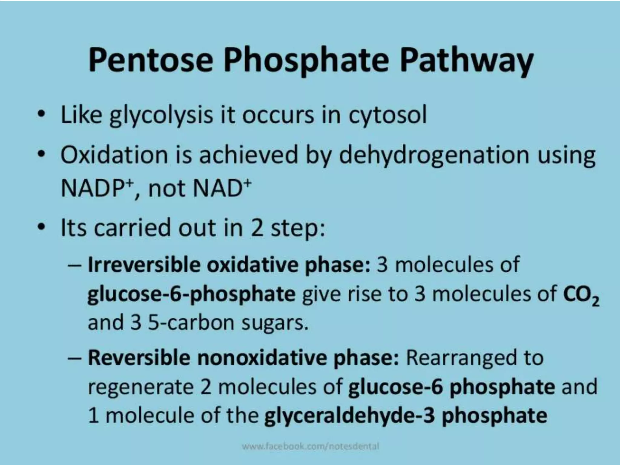 9.Tricarboxylic acid cycle, Pentose phosphate pathway and Blood sugar ...
