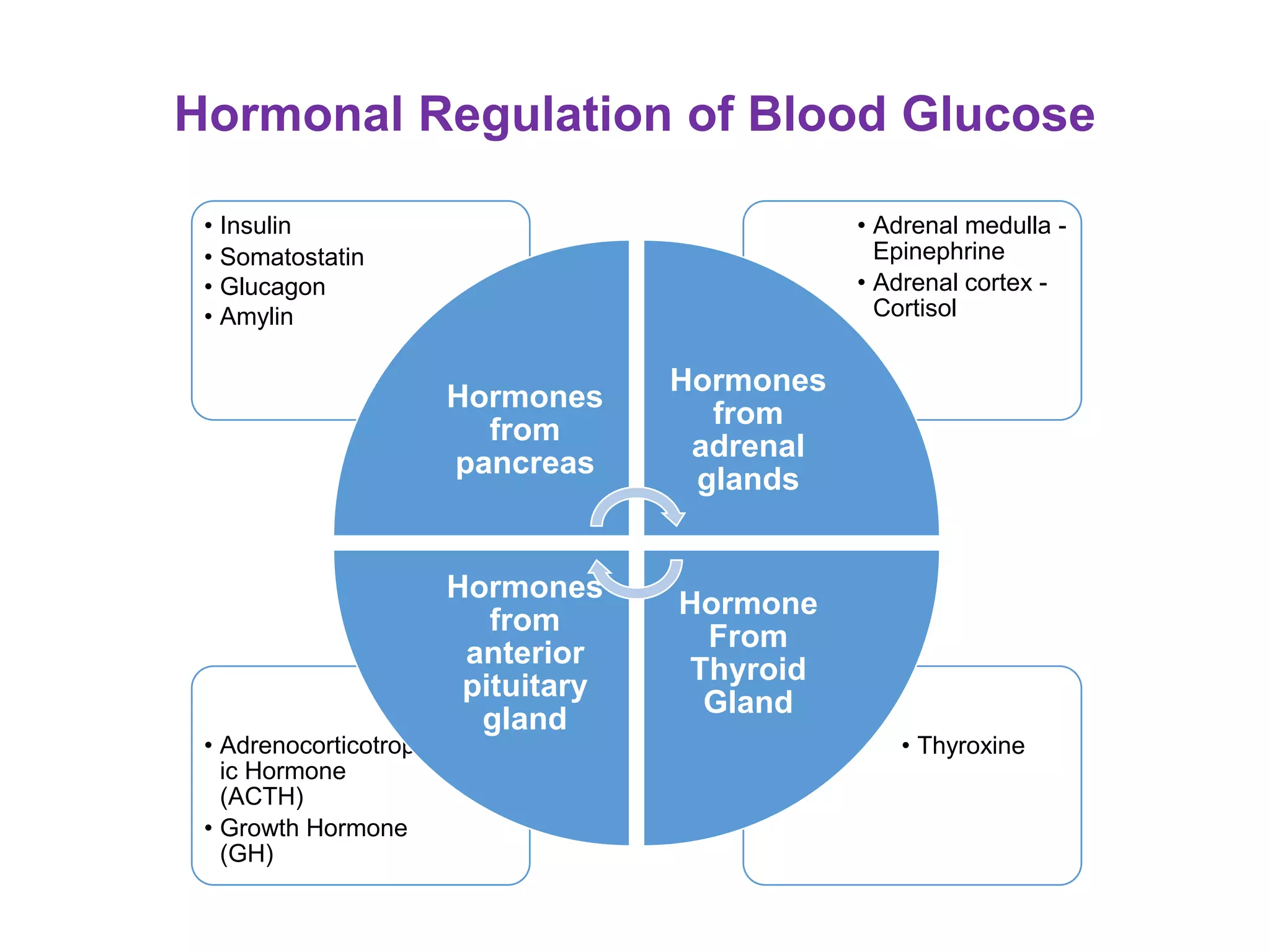 Hormonal Regulation of blood Glucose - Part-III.pptx