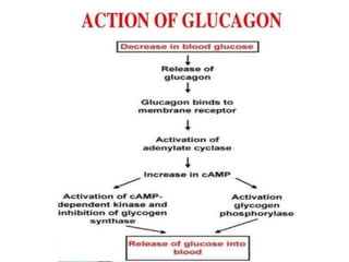 Hormonal Regulation of blood Glucose - Part-III.pptx