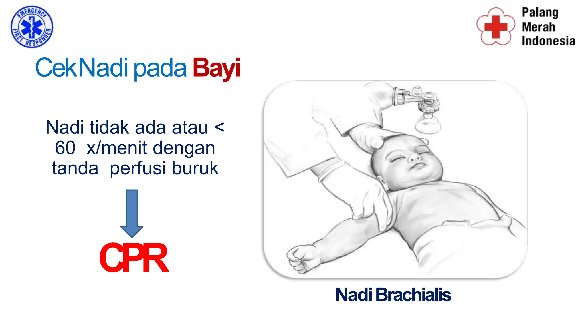 9. BASIC LIFE SUPPORT PMI.ppt