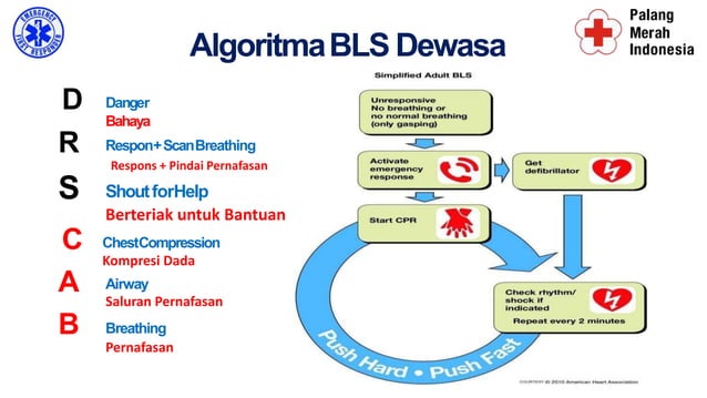 9. BASIC LIFE SUPPORT PMI.ppt