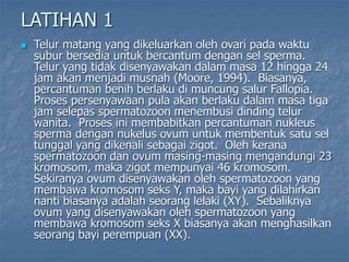 9. Indeks Membaca.ppt