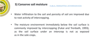 Intercropping in Cashew Orchards | PPTX