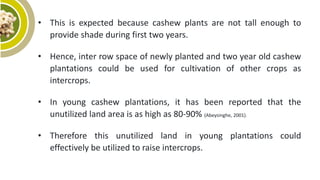 Intercropping in Cashew Orchards | PPTX
