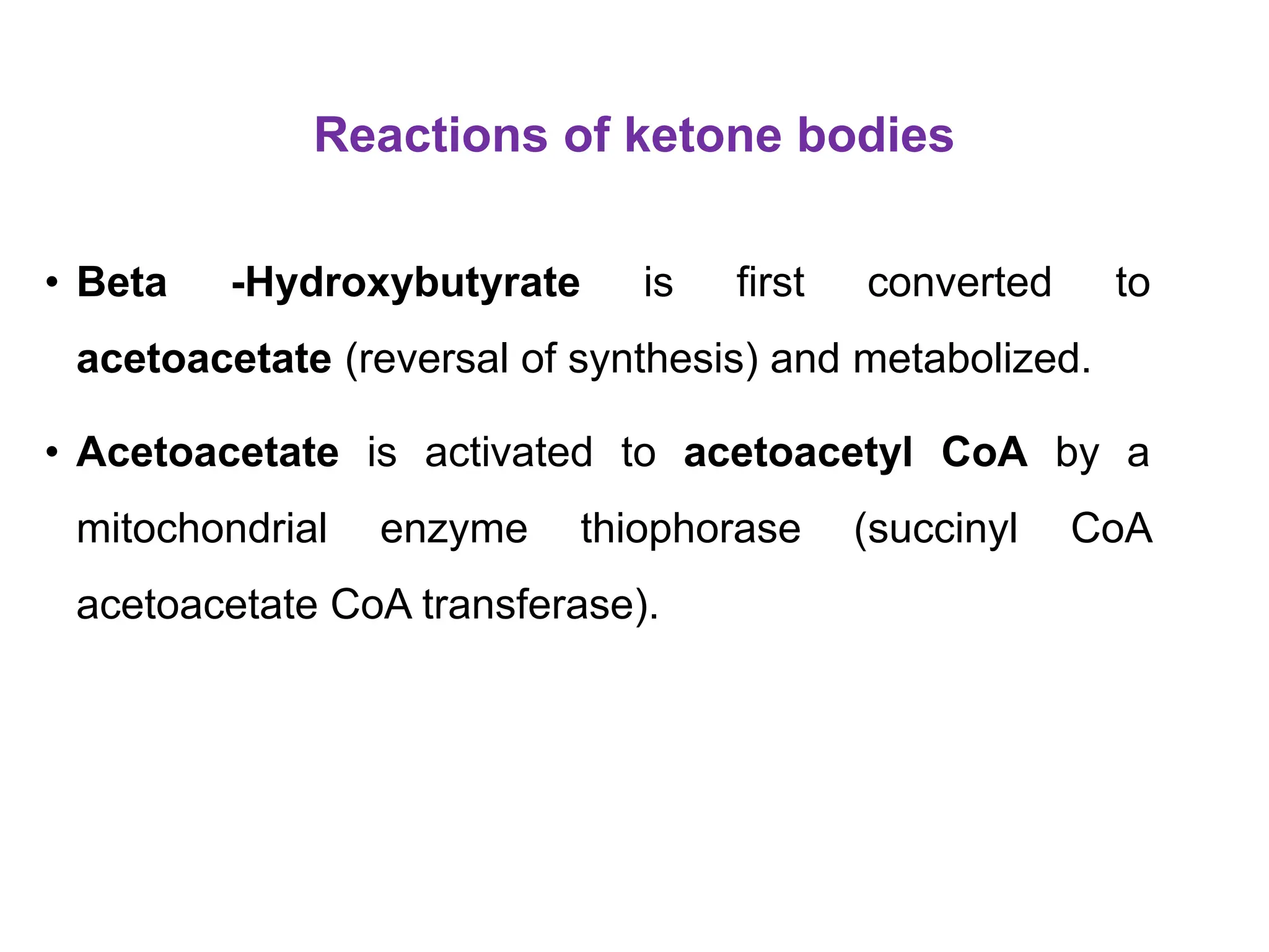 Ketone Bodies.pptx