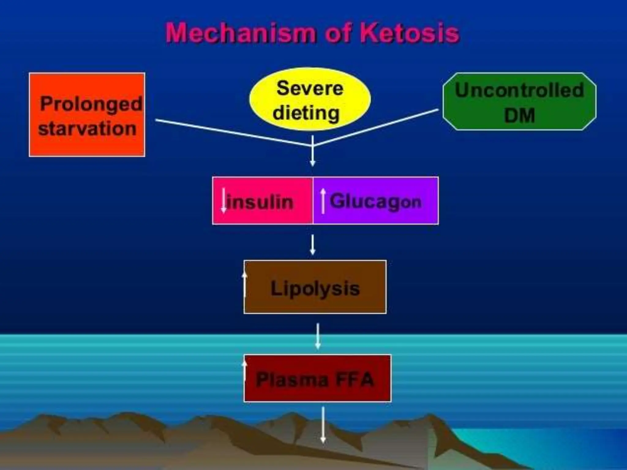 Ketone Bodies.pptx