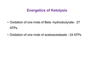 Ketone Bodies.pptx