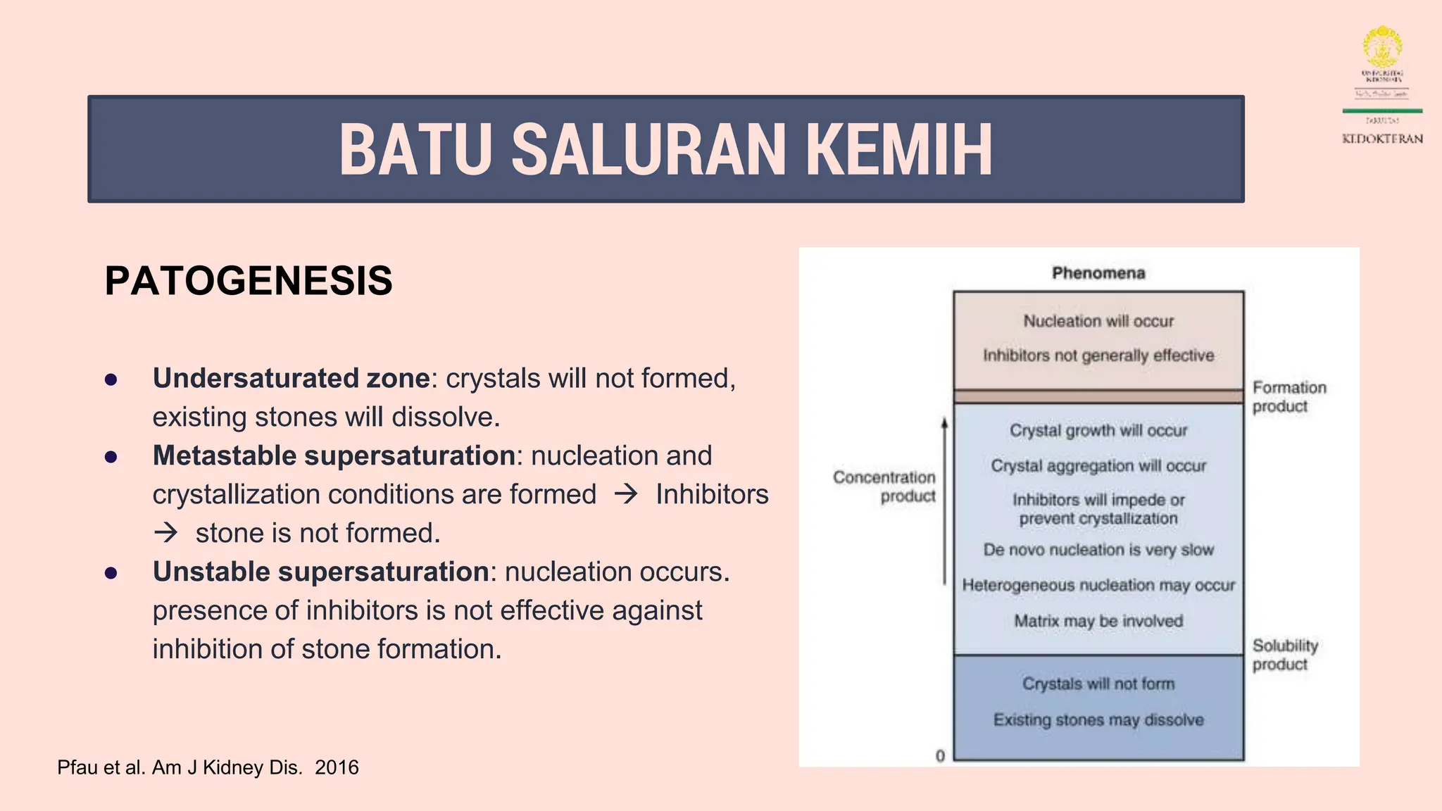 9. Diskusi Topik - Obstruksi dan Batu Saluran Kemih (dr Hafiz).pptx