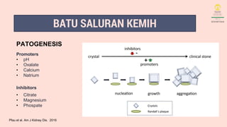 9. Diskusi Topik - Obstruksi dan Batu Saluran Kemih (dr Hafiz).pptx ...