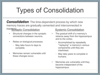 Memory. Theories of memory . Forgetting ppt | PPT