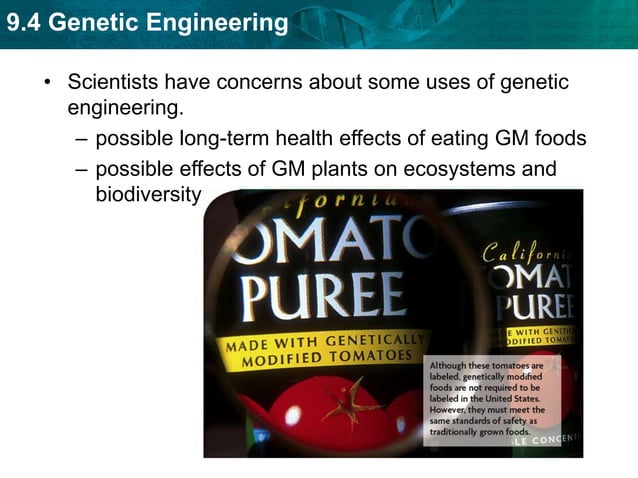 Genetic Engineering.ppt and application of genetics | PPT | Genetics ...