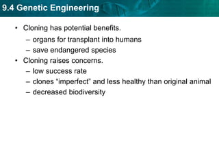 Genetic Engineering.ppt and application of genetics | PPT | Genetics ...