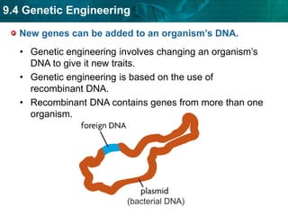 Genetic Engineering.ppt and application of genetics | PPT | Genetics ...