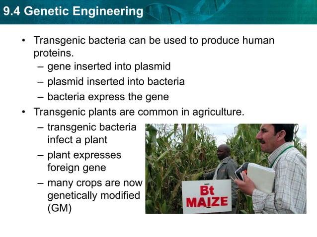 Genetic Engineering.ppt and application of genetics | PPT | Genetics ...