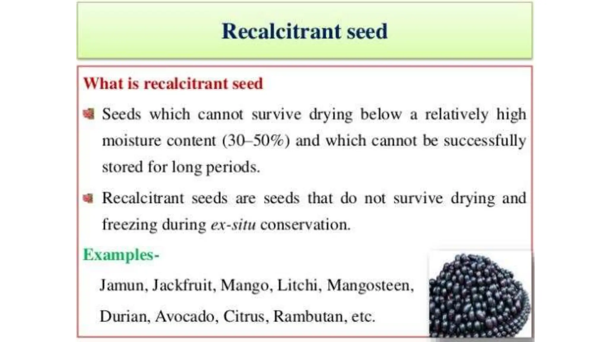 9.Seed, Classes of seed and Seed germination.pptx