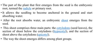 9.Seed, Classes of seed and Seed germination.pptx