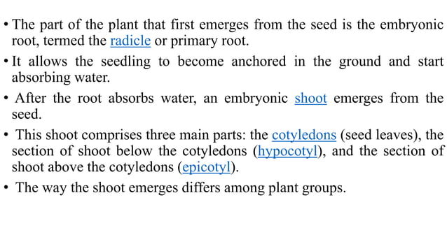 9.Seed, Classes of seed and Seed germination.pptx | Gardening | Home ...