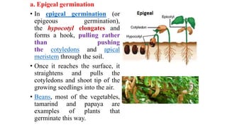 9.Seed, Classes of seed and Seed germination.pptx