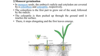 9.Seed, Classes of seed and Seed germination.pptx