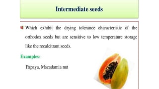 9.Seed, Classes of seed and Seed germination.pptx