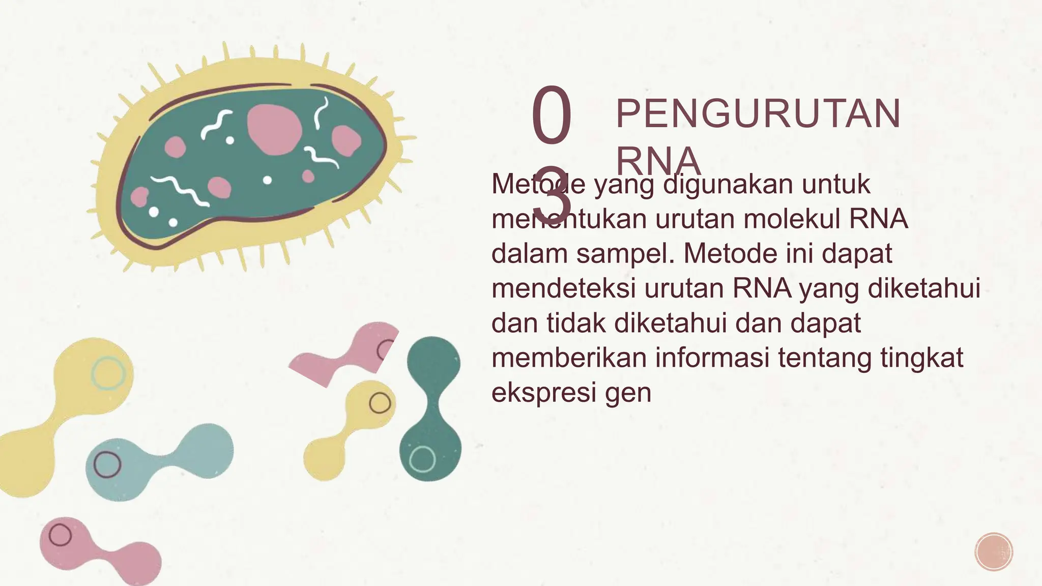 MATERI BIOLOGI MOLEKULER - DETEKSI KELAINAN DNA-RNA-PROTEIN.pptx