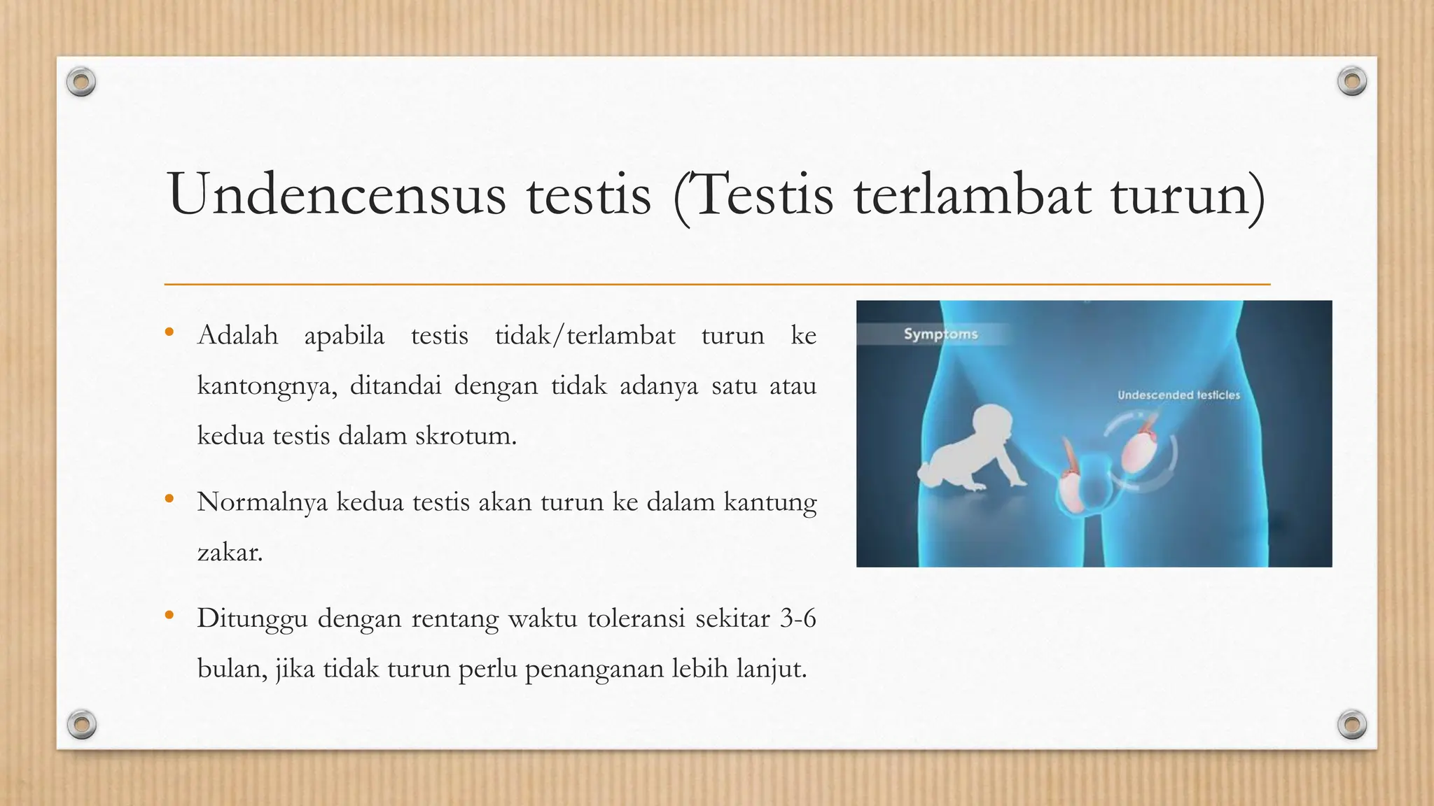9. Pengenalan Alat dan Fungsi Reproduksi AUD (1).pdf