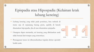9. Pengenalan Alat dan Fungsi Reproduksi AUD (1).pdf