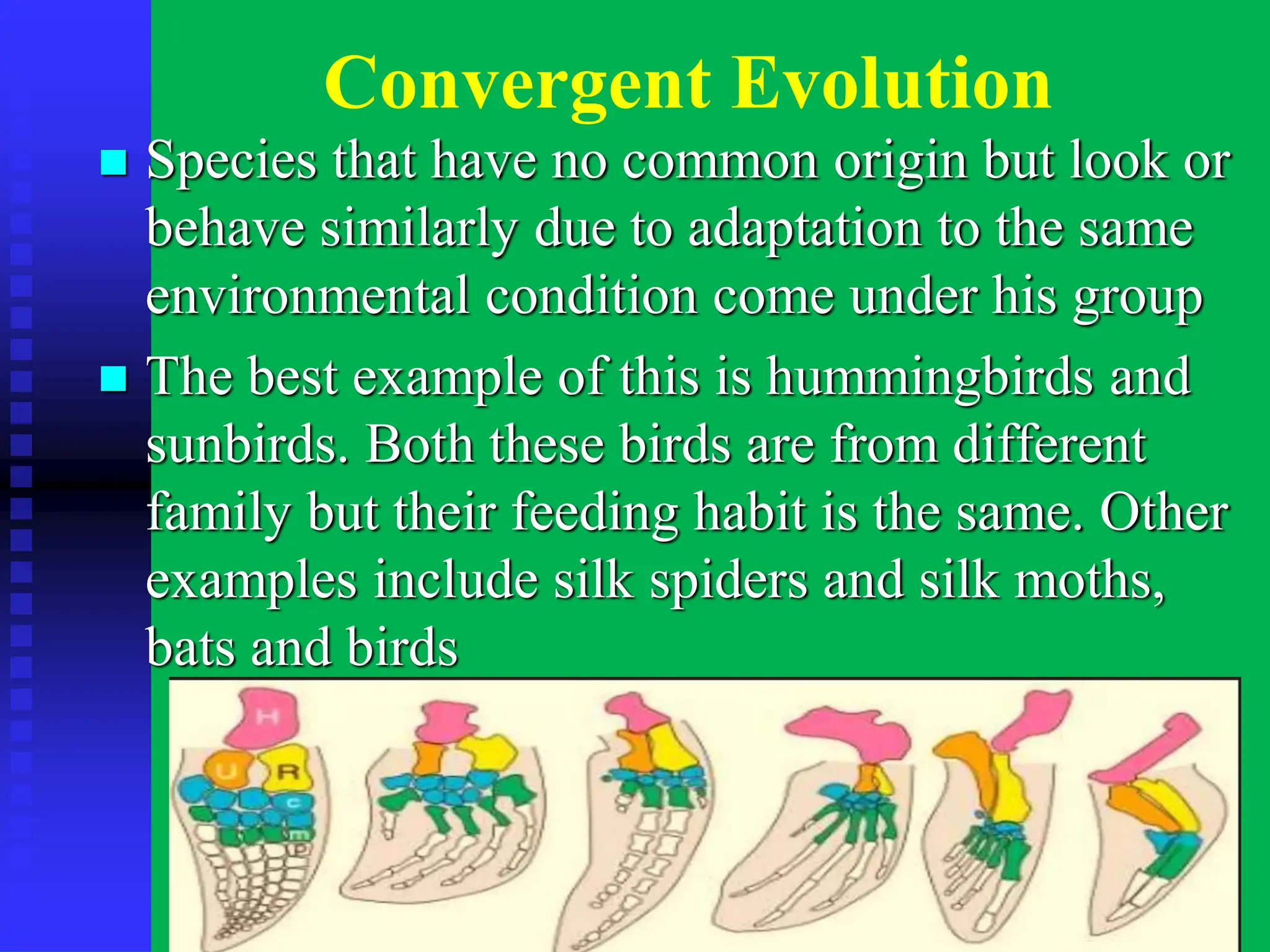 9. patterns of evolution- Charles Darwin.pdf